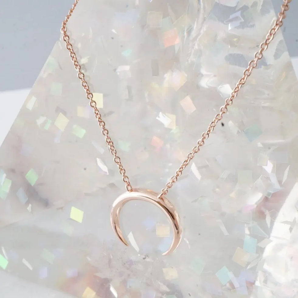 Crescent Horn Necklace – Honeycat Jewelry